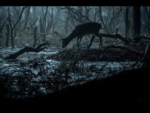 PC Led ışığı Ücretsiz / Evi Pavyona çevirdim 2020