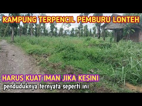 WAW !! KAMPUNG TERPENCIL PEMBURU LONTEH || Penduduknya ternyata seperti ini