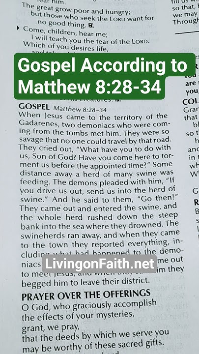 Gospel According to Matthew 8 #dailymass - YouTube