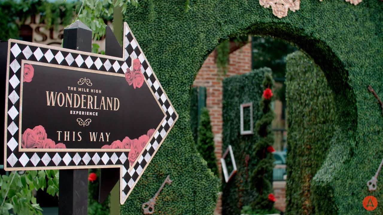 Access | Down the Rabbit Hole | Denver, Colorado - YouTube