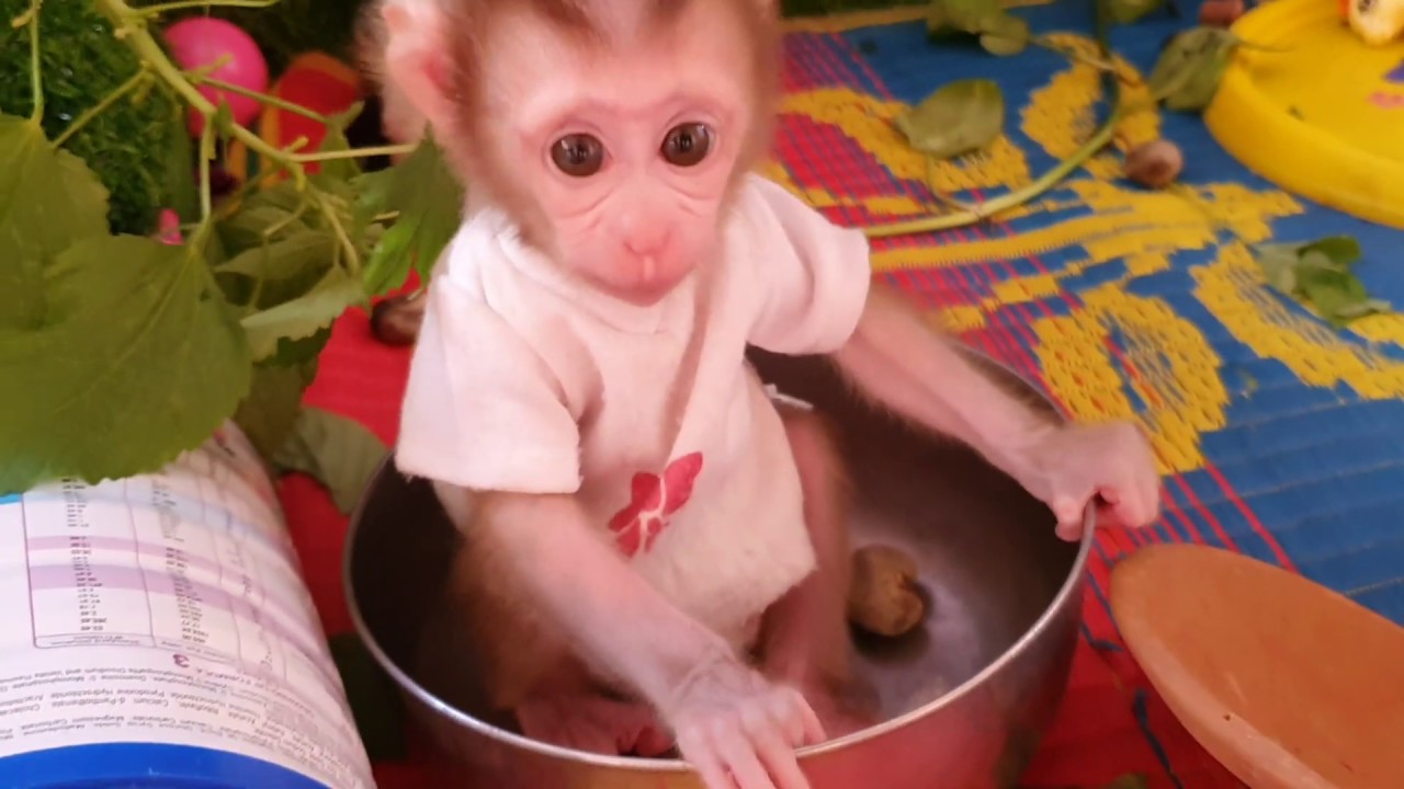 What A Beautiful Aba Doing On Box ? Look Aba Too Cute Face - YouTube