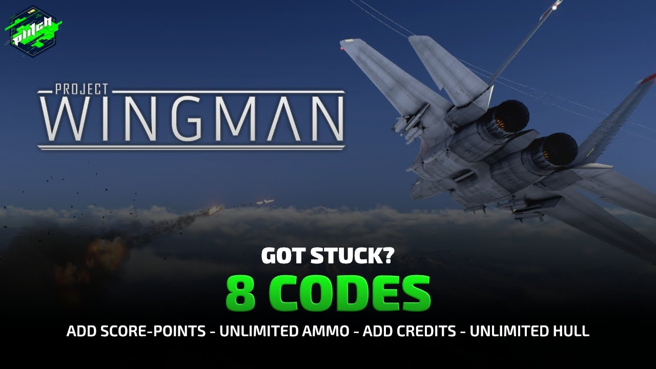 PROJECT WINGMAN Cheats: Add Score-Points, Unlimited Ammo, Godmode ...