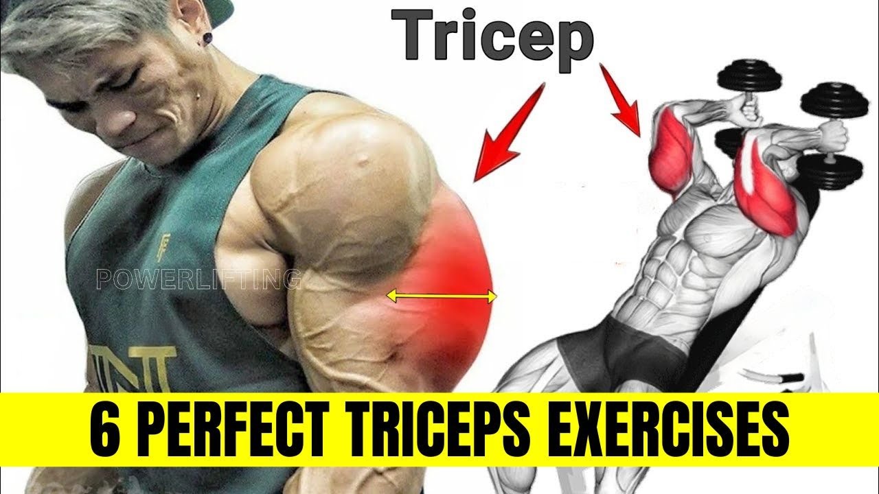 6 Perfect Triceps Exercises for Bigger Arms - Get Bigger Triceps - Best ...