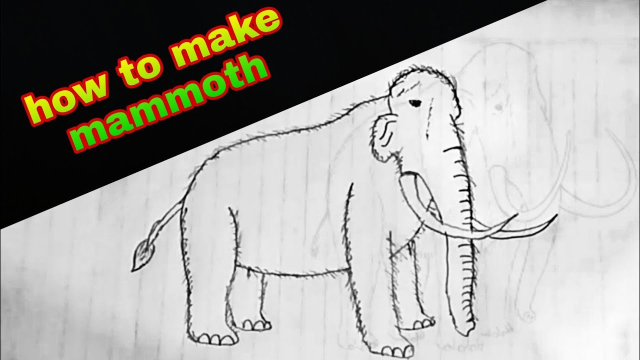 how to draw mammoth step by step || Pratyush world Art - YouTube