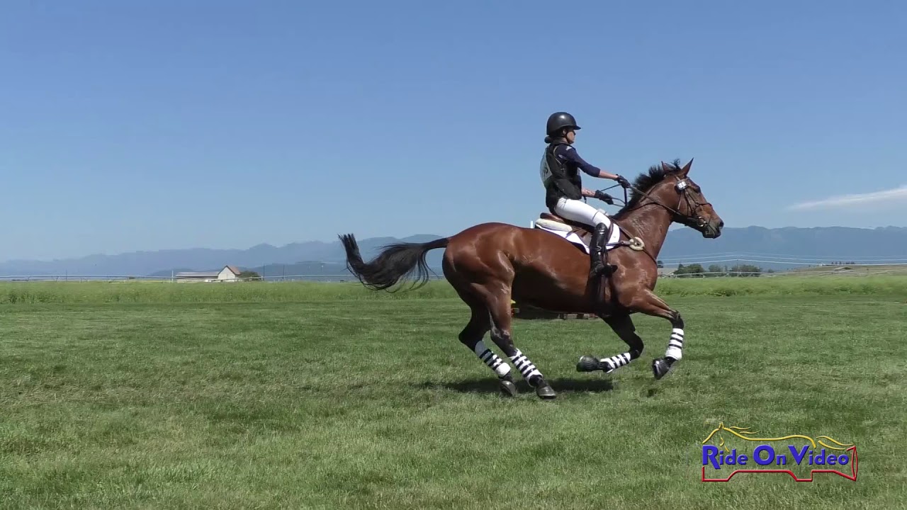 568XC Michaela Aulicino on Pippin JR Novice Cross Country Rebecca Farm ...
