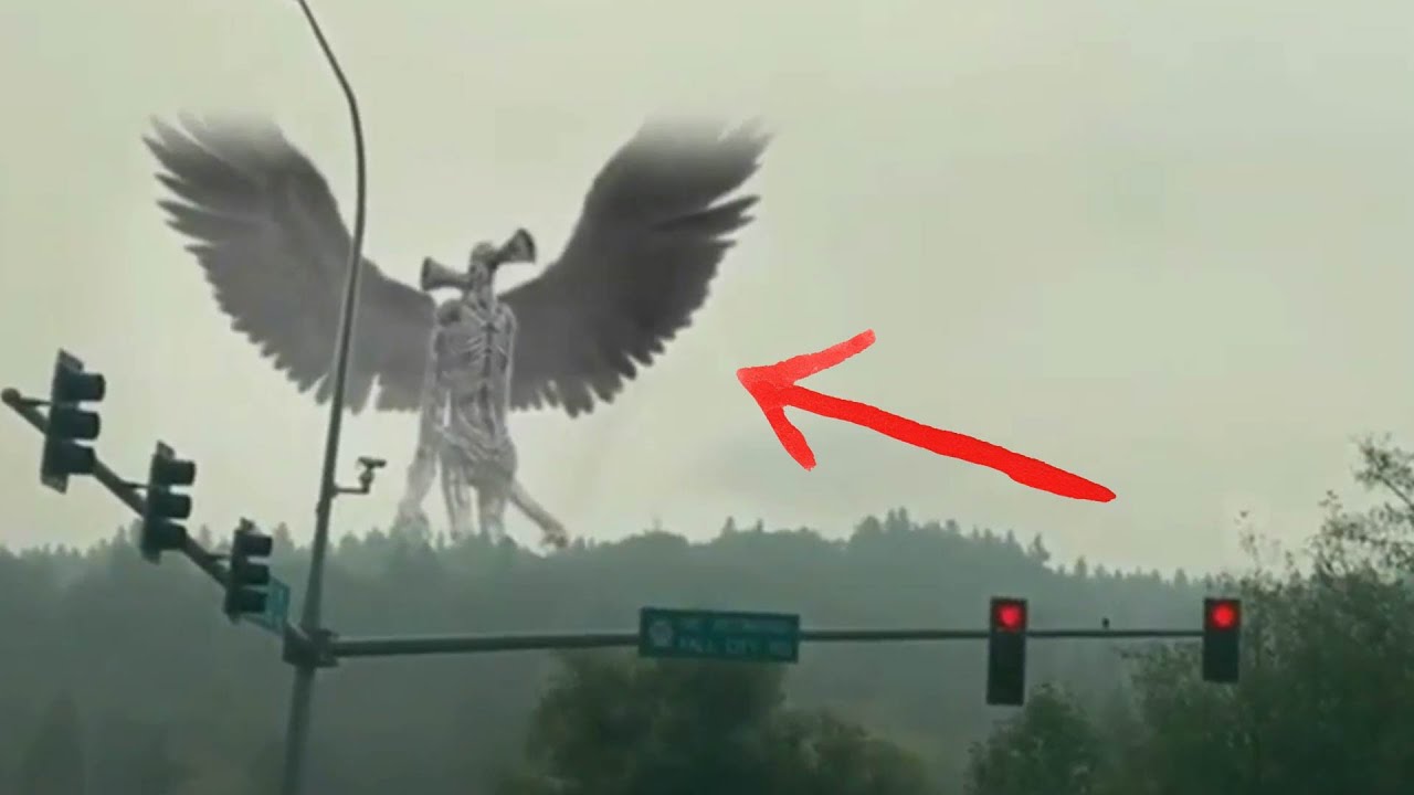 20 time Winged creature sighting caught on tape - YouTube
