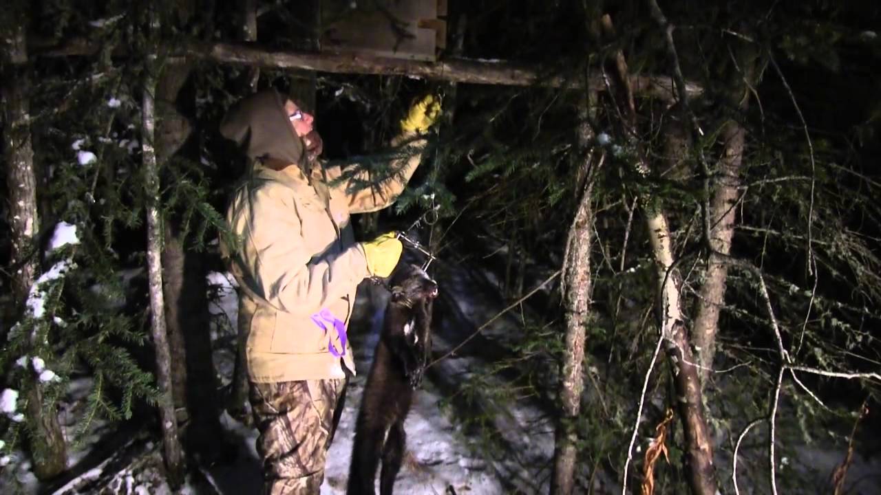 Trapping Inc You Tube Trailer - YouTube