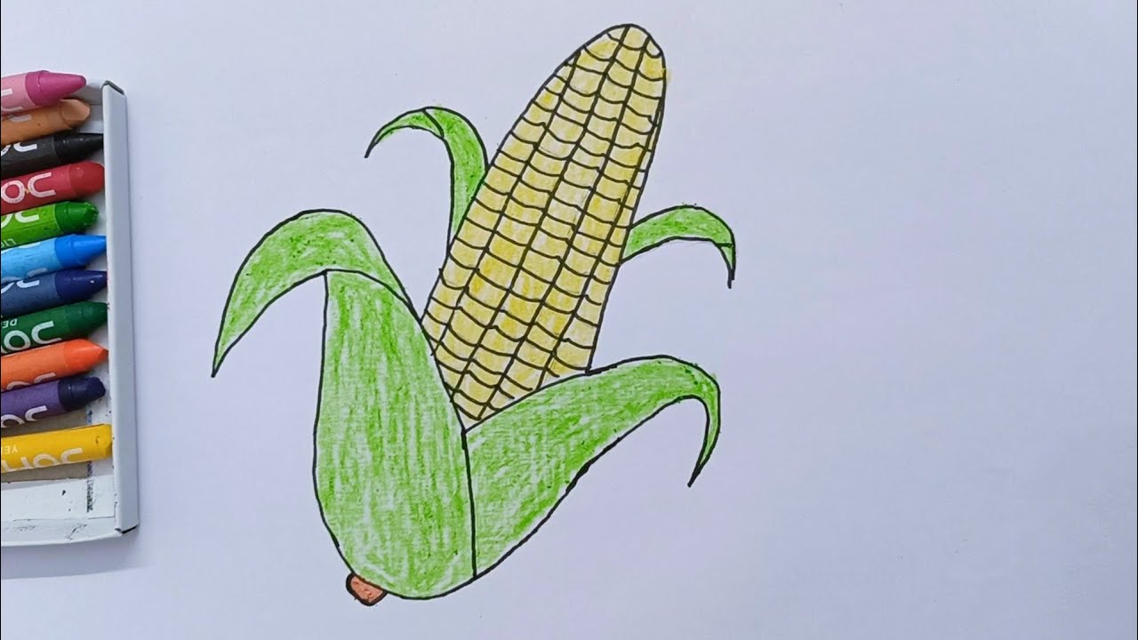 Corn Drawing For Kids