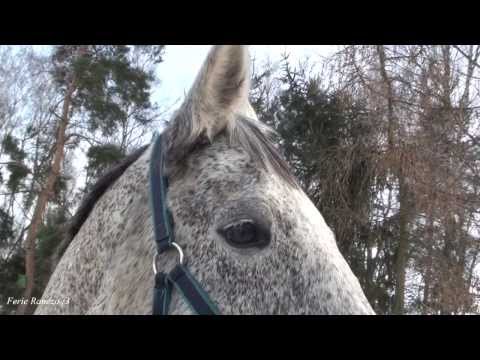 Ranczo w Dolinie 2014