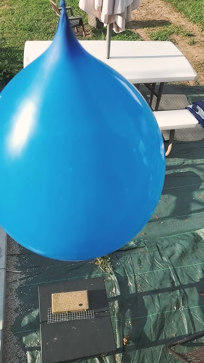 Dropping Water Balloon in Slow Motion #satisfying #shorts - YouTube