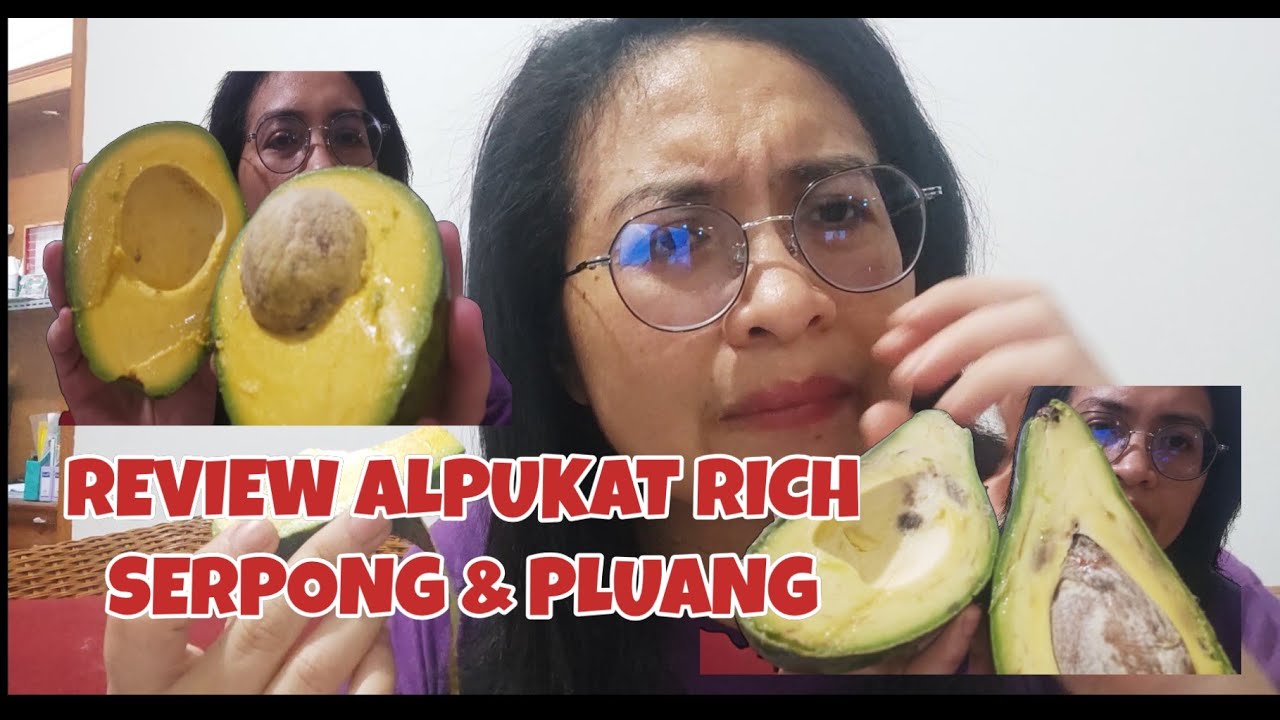 Review Alpukat Rich Serpong & Alpukat Pluwang. Alpukat Kulit Tipis ...