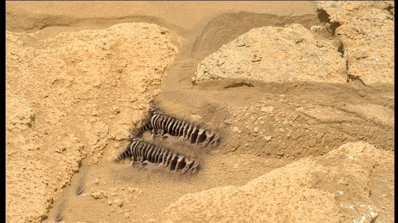 Mars Rover Found Unbelievable Objects On The Mars Surface || Mars New ...