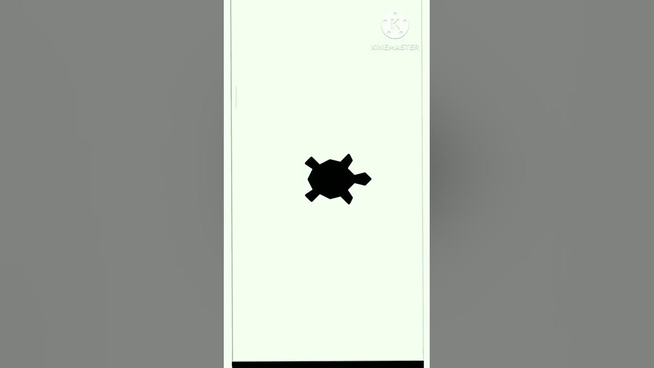Funny Turtle Fan In Python Cool Python Turtle Graphics Code Pythonturtle Funnyturtle Turtle