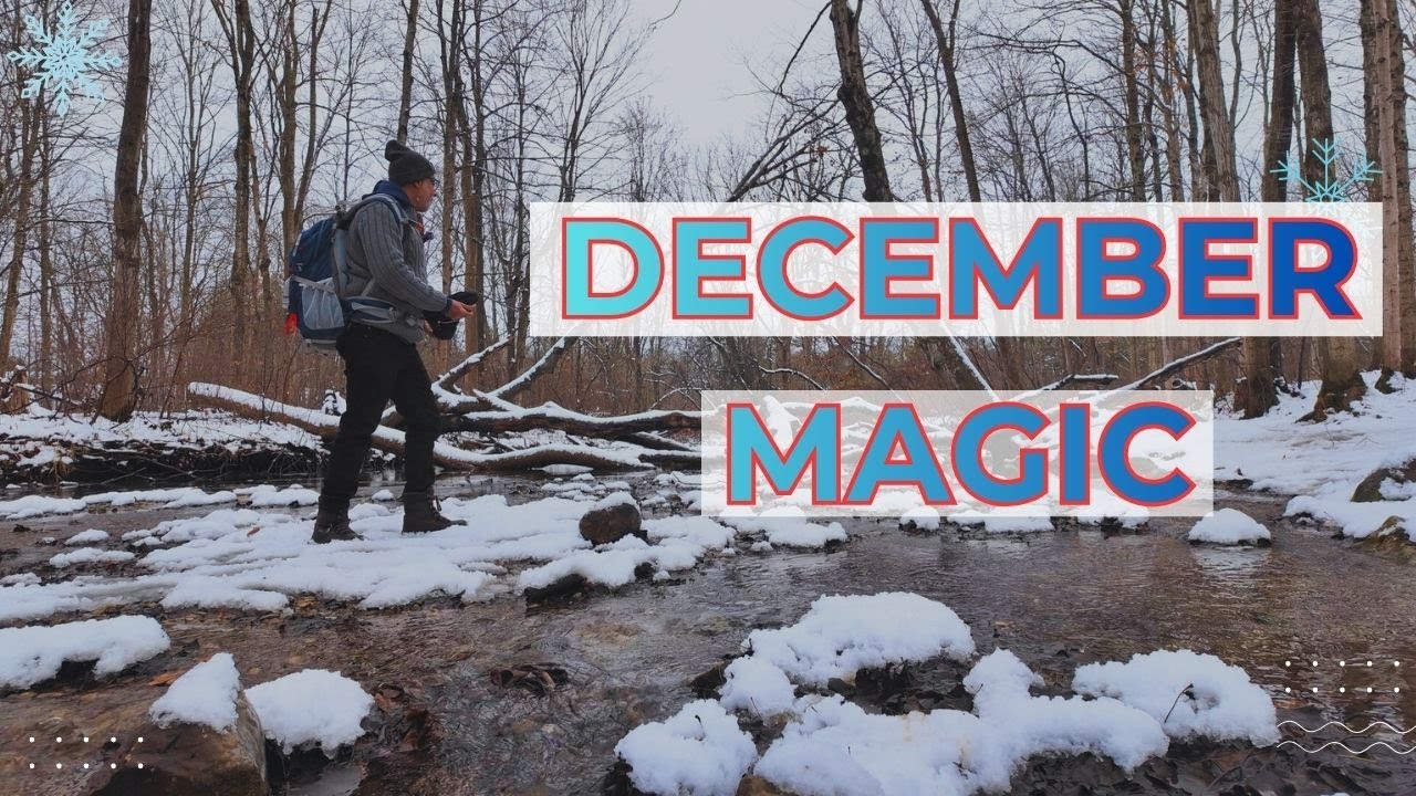 First Snowfall Walk ️ | December Reflections & Winter Wonders - YouTube
