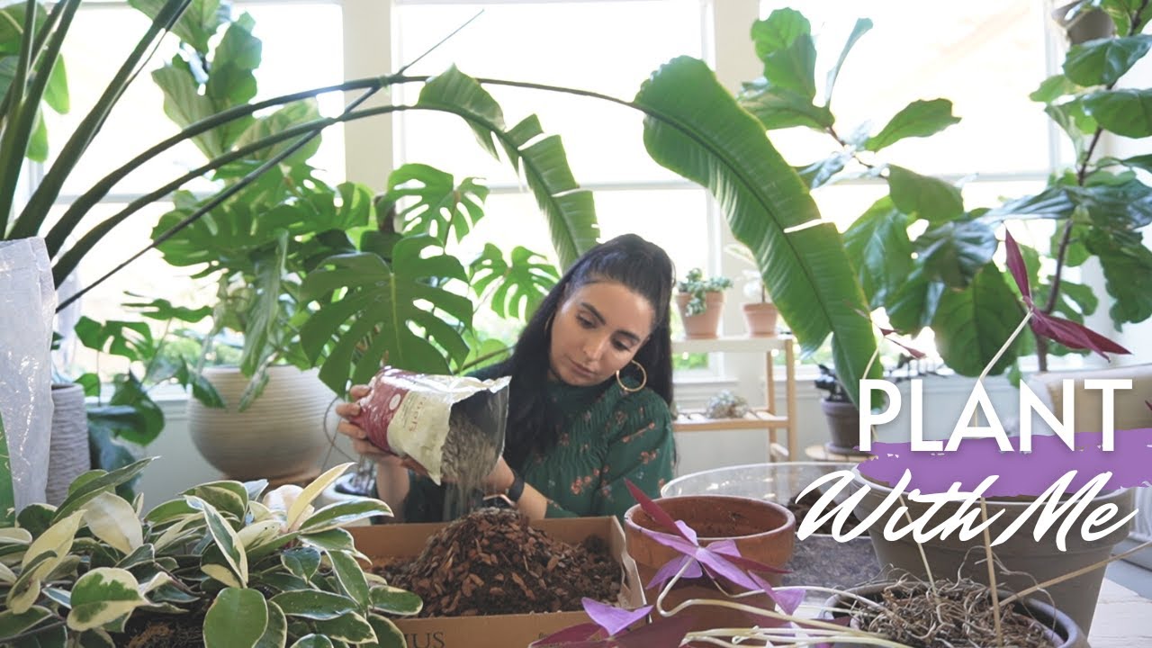 Weekend Plant Routine With Me - YouTube