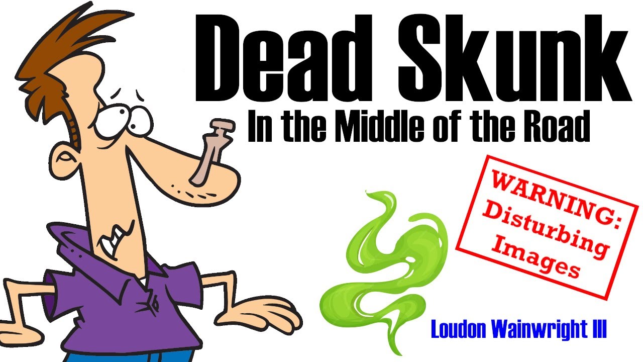 Dead Skunk in the Middle of the Road - YouTube