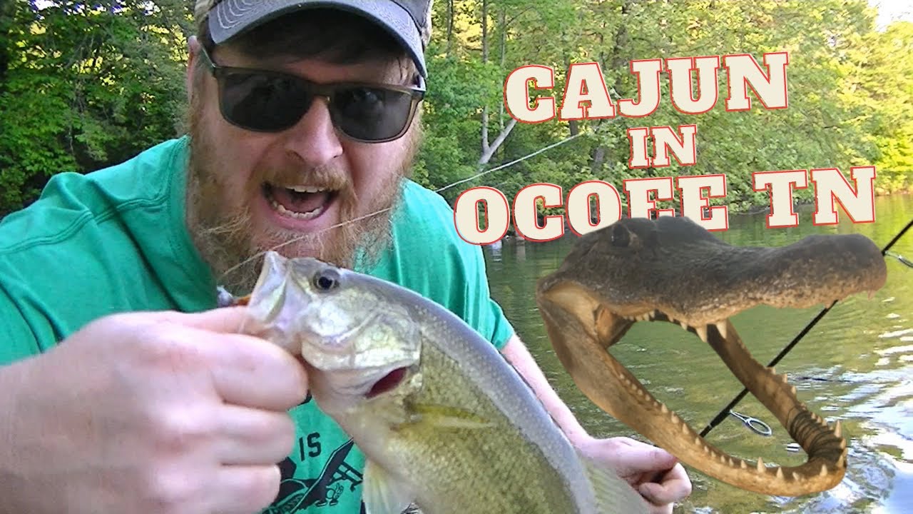 OCOEE TENNESSEE: CRAWFISH Cajun Style - YouTube