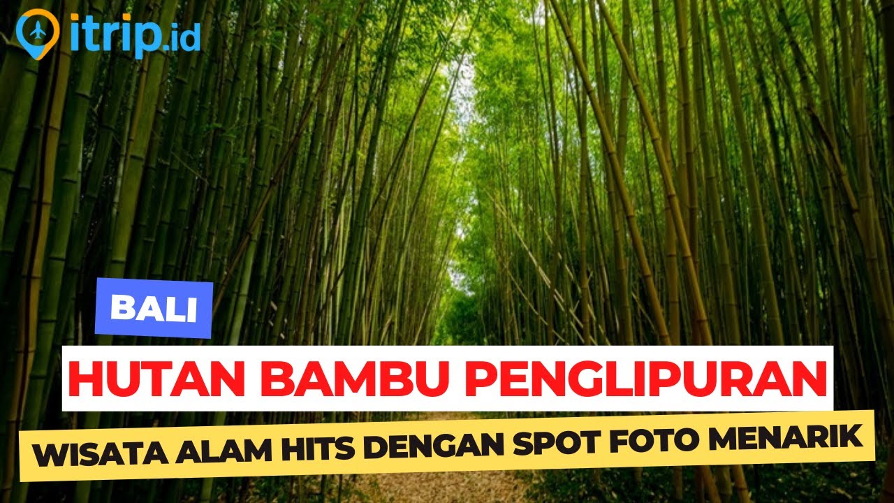 Hutan Bambu Desa Penglipuran - Destinasi Wisata Alam Hits di Bangli ...
