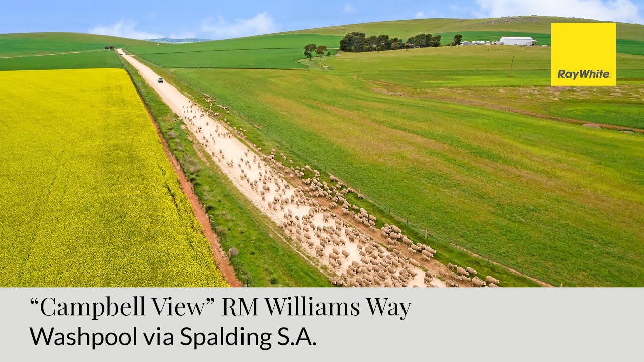 Campbell View, RM Williams Way, Washpool via Spadling, South Australia ...