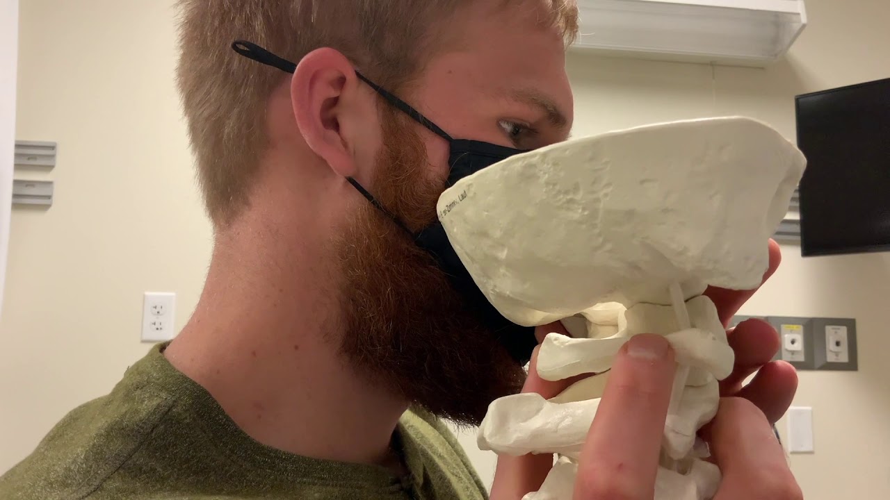 Arthrokinematics of the Occipital Axial (OA) joint - YouTube