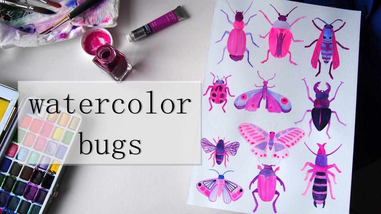 watercolor bug drawing 🪲 pink beetles, butterflies, - YouTube