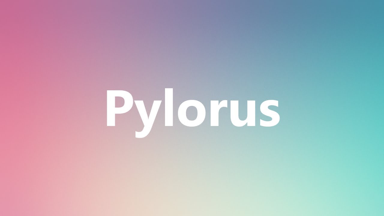 Pylorus - Medical Definition and Pronunciation - YouTube