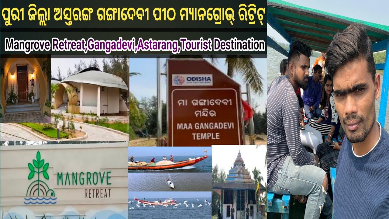 Mangrove Retreat, Gangadevi, Astarang, Tourist Destination, odisha # ...