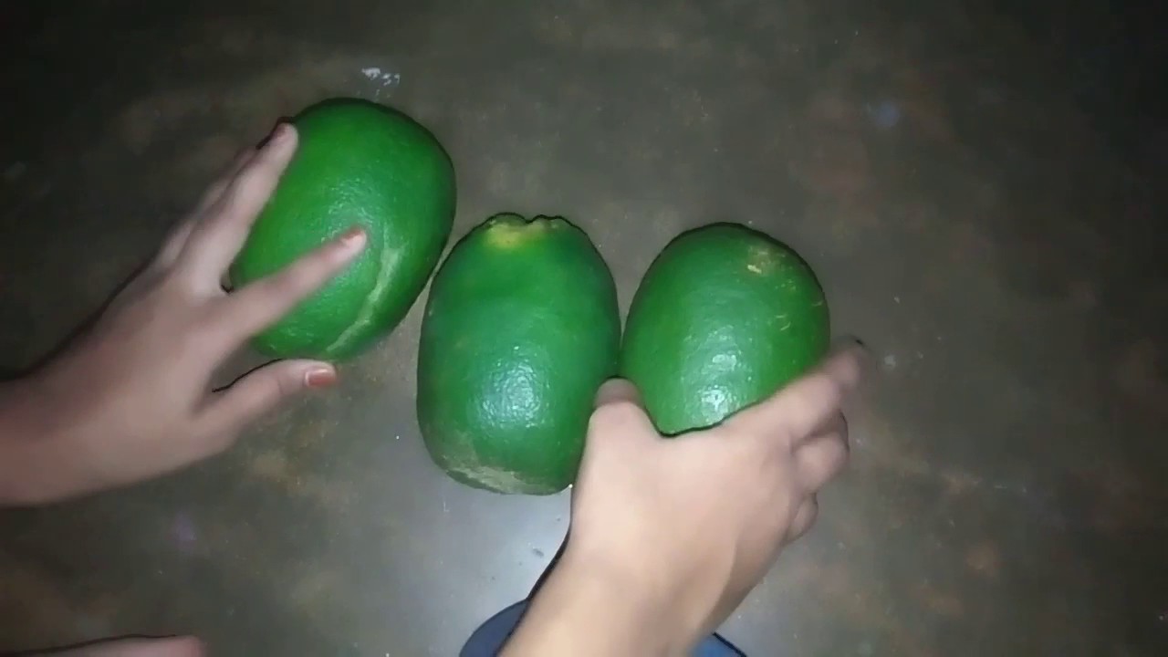 The biggest lemon in the world - YouTube