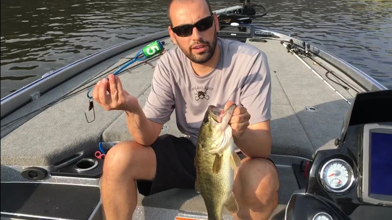 How to Properly Use A PUNCTURE CULL TAG For BASS - YouTube