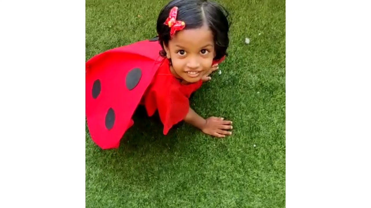 lady bug/fancy dress / - YouTube