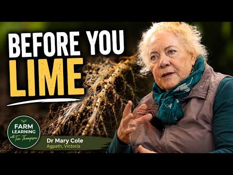 Lime, Soil Biology and the Rhizosphere Explained