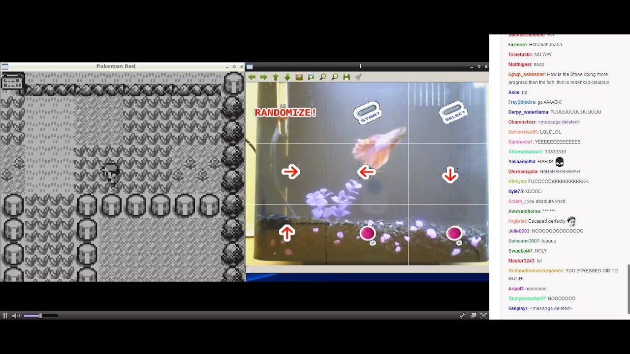 Fish Plays Pokemon: $10,000 Bet (Highlights #3) - YouTube