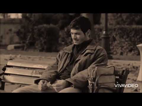 siyajîn - dara jînê