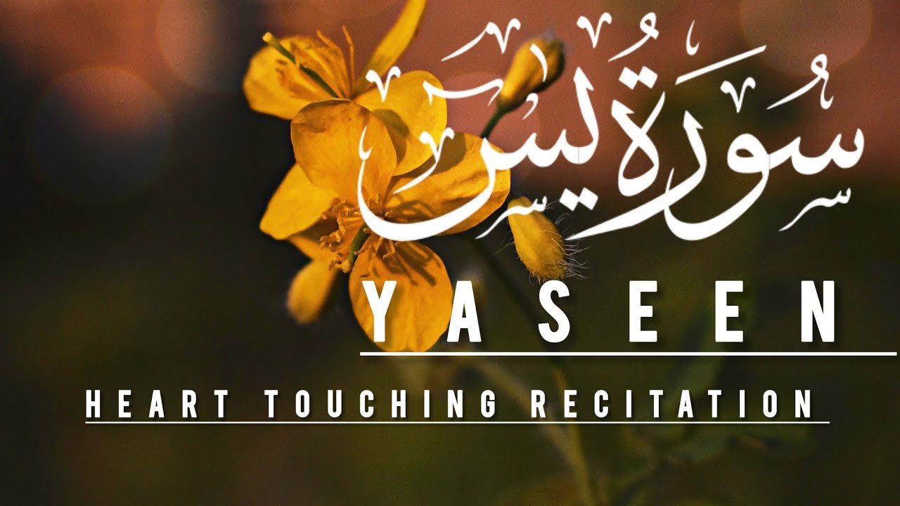 Surat Yaseen Full (HD) Beautiful Voice|By Qari Kashif Aziz|Heart ...