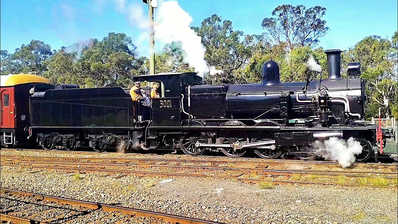 3001 with the NSW rail museum heritage train - YouTube