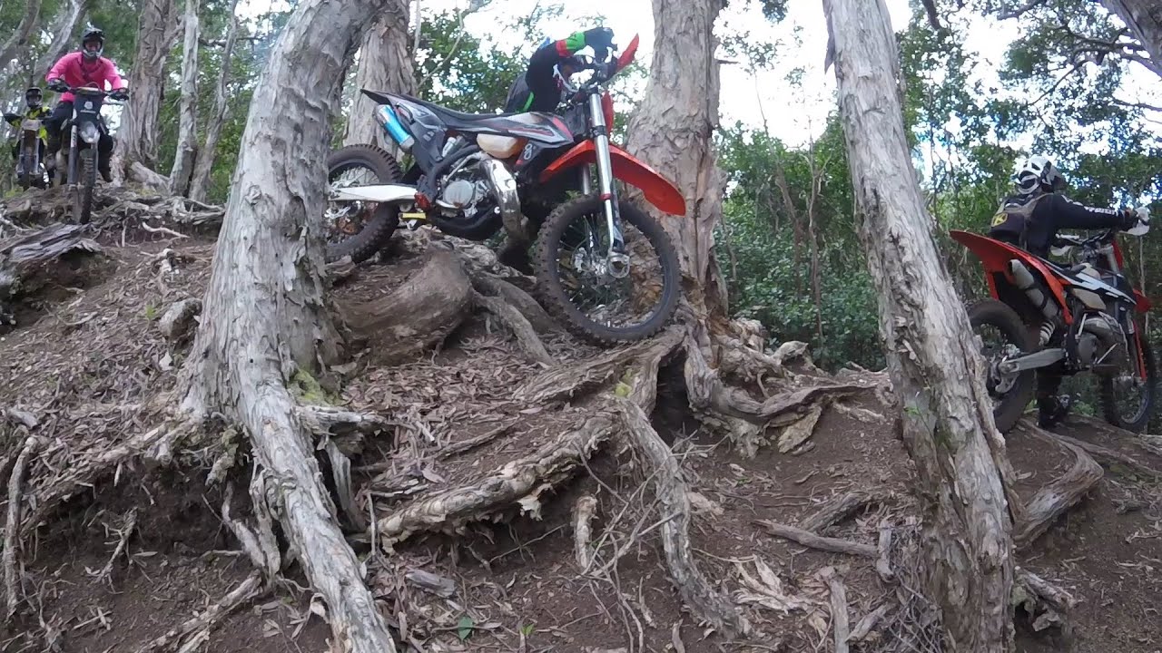"HIGH 5 TRAIL" - YouTube