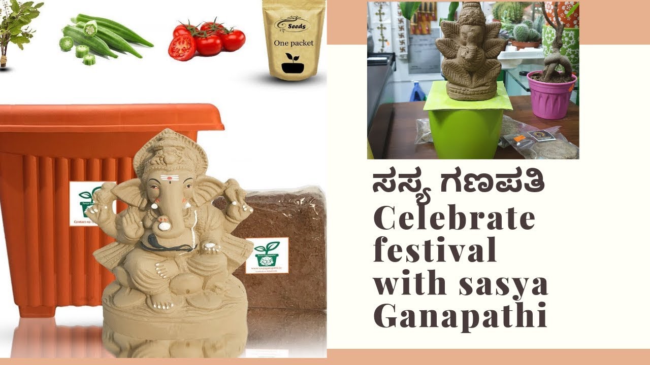 Plant Ganesha|ಸಸ್ಯ ಗಣಪತಿ|Celebrate festival with Eco friendly Ganapathi ...