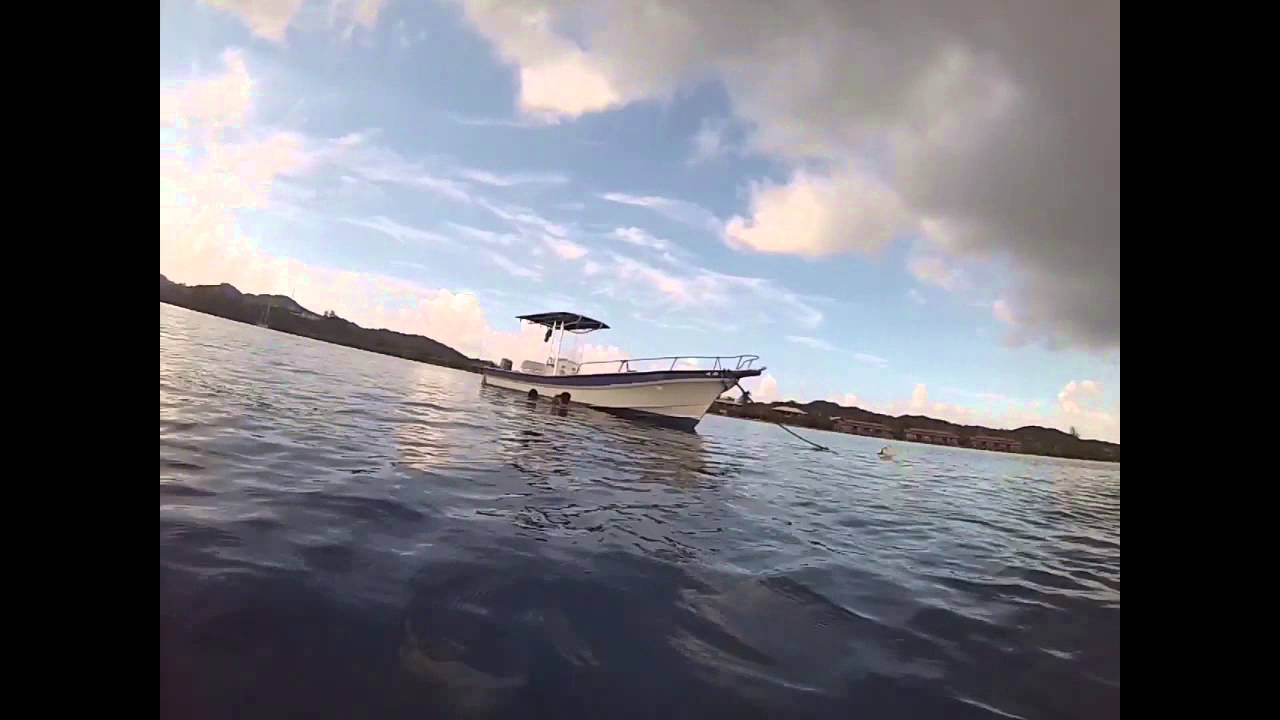 Free diving sunken boat - YouTube