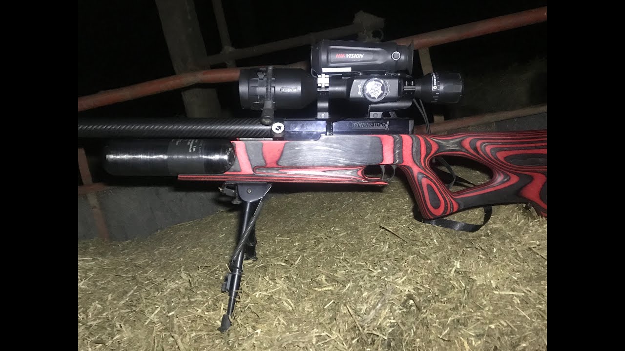 air rifle ratting part2 - YouTube