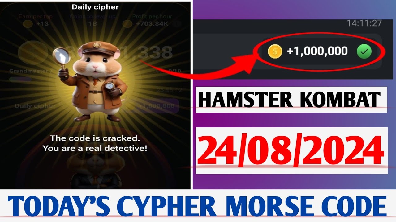 24 August HAMSTER KOMBAT DAILY CYPHER CODES - YouTube