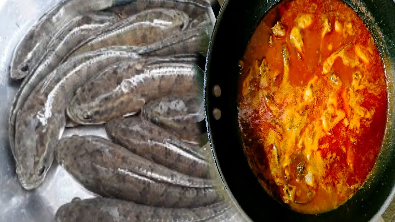 गरई मछली स्पेशल recipe ।। gare machhli special recipe ।। - YouTube