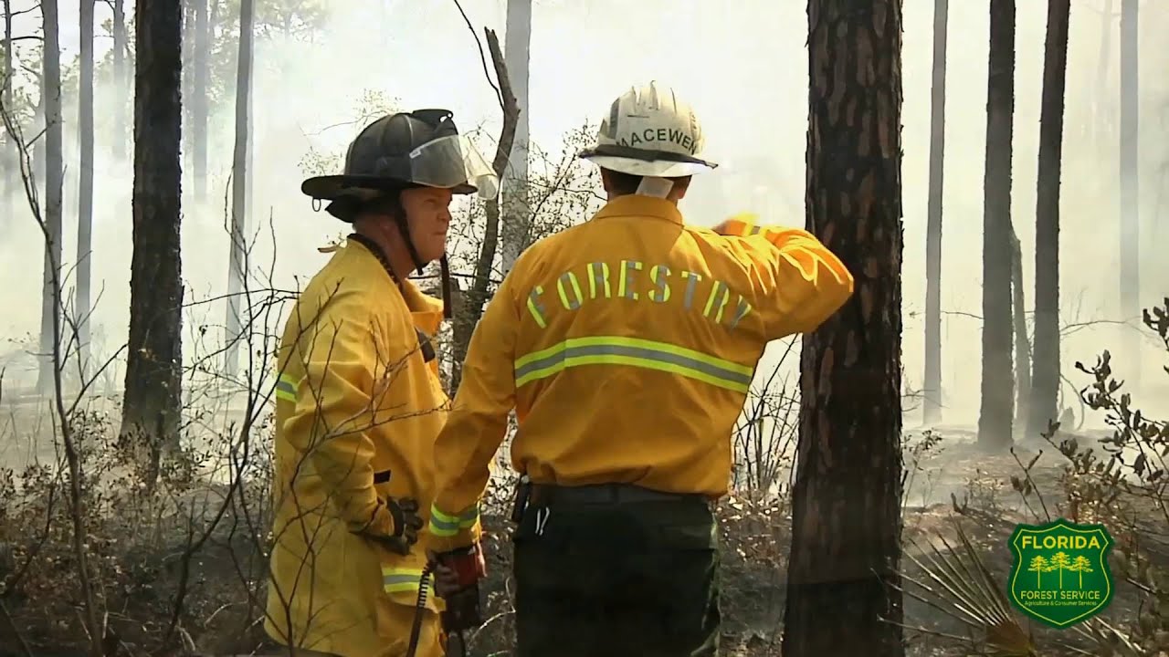 Florida Forest Service: Who We Are (Short) - YouTube