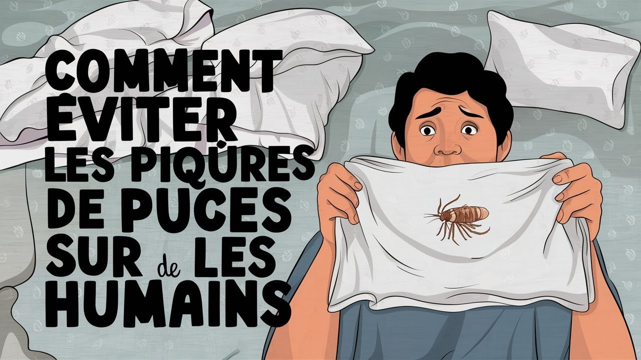 Comment éviter les piqûres de puces sur les êtres humains - YouTube
