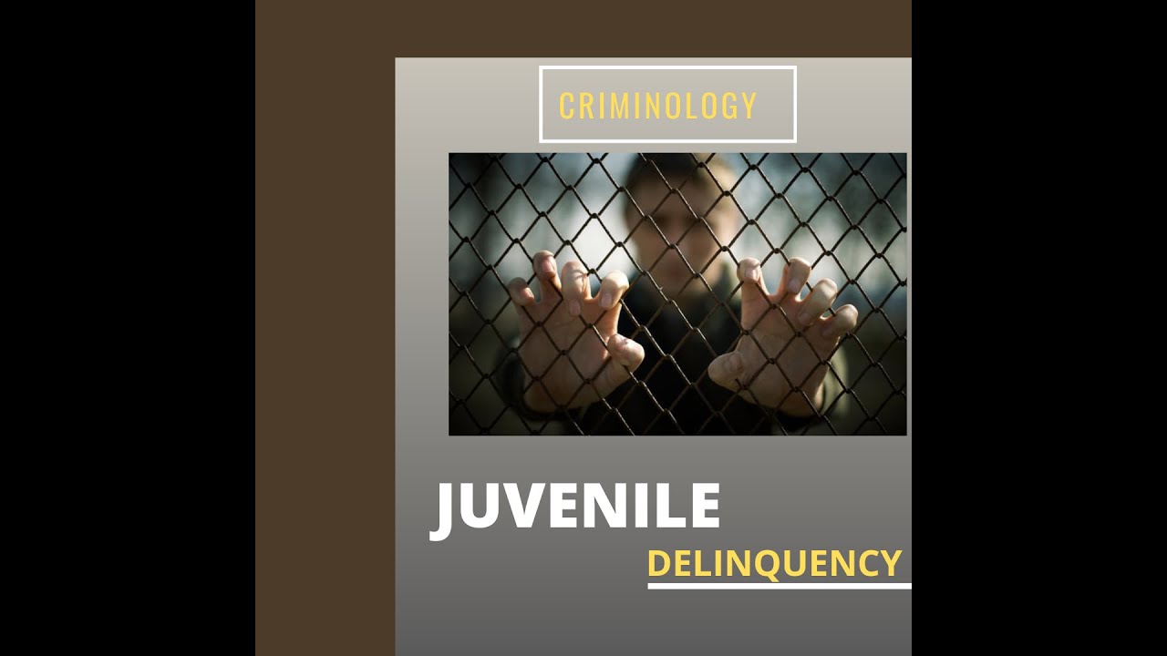 What is Juvenile Delinquency in Criminology?|Popular Types of ...