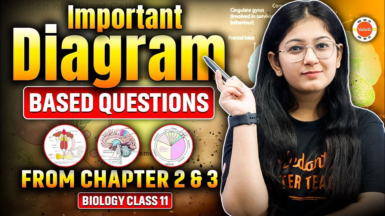 Diagram Based Questions from Chapter 2 & 3 Biology - YouTube