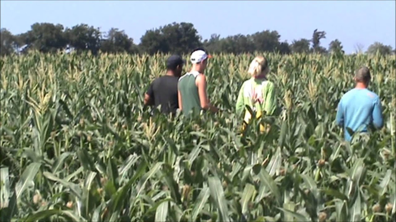 Nemire's Detasseling Commercial - YouTube