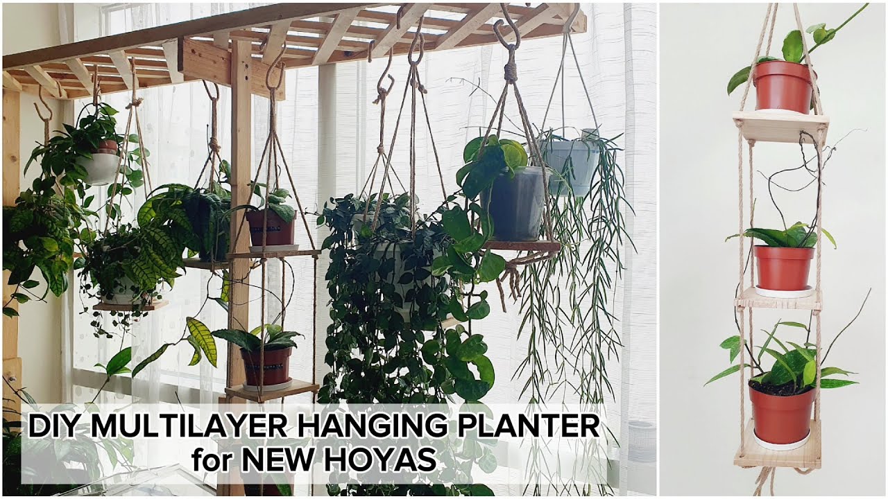 DIY Hoya Multilayer Hanging Planter | NEW HOYAS in my Garden - YouTube