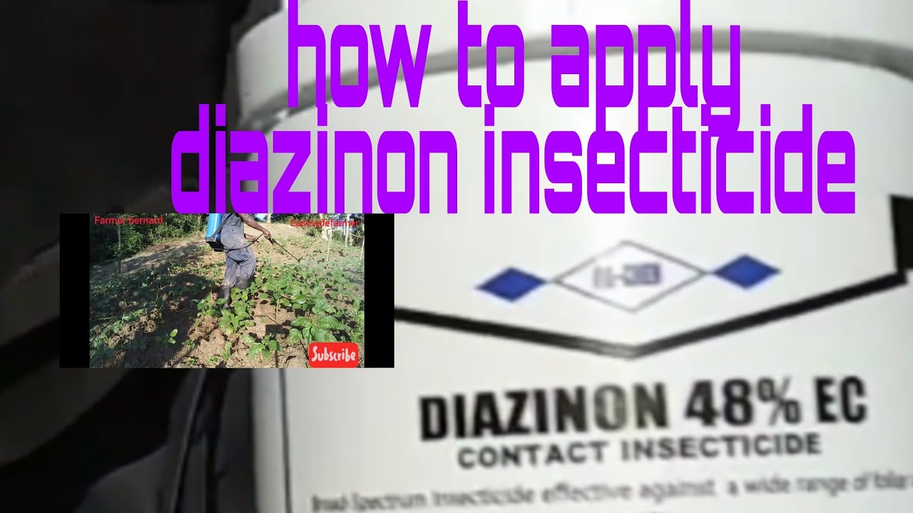 how to apply diazinon #insecticides - YouTube