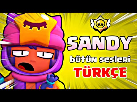 SANDY BÜTÜN SESLERİ TÜRKÇE ANLAMI - Brawl Stars