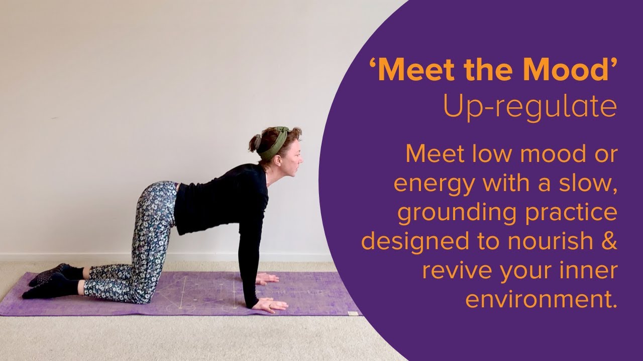Meet the Mood - Up Regulate / Low Mood or Energy / Depression - YouTube